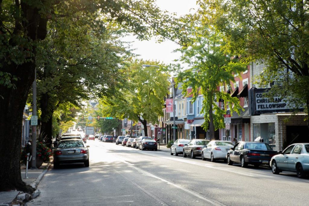 Pest Control Lebanon, NJ | Lebanon Pest Control | Ace Tech